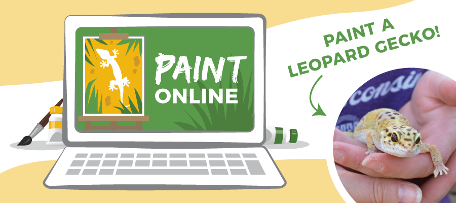 Paint Online | racinezoo.org