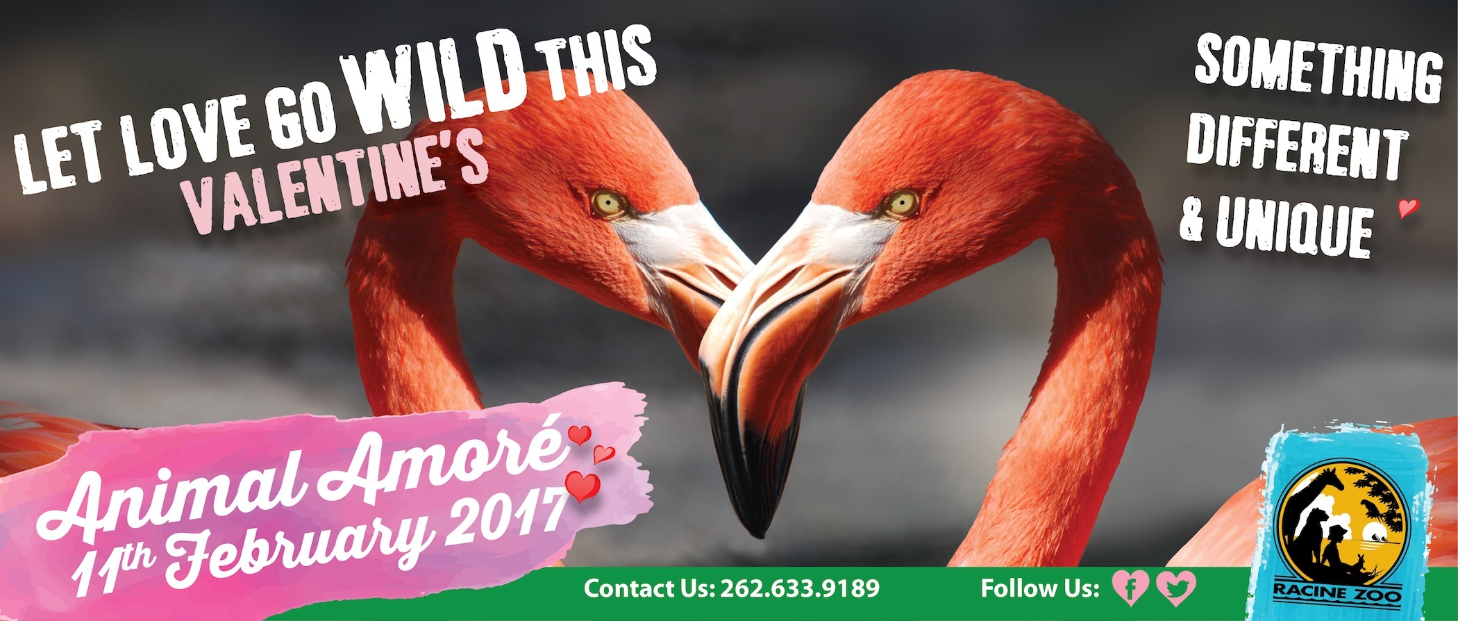 Welcome to the Racine Zoo | racinezoo.org