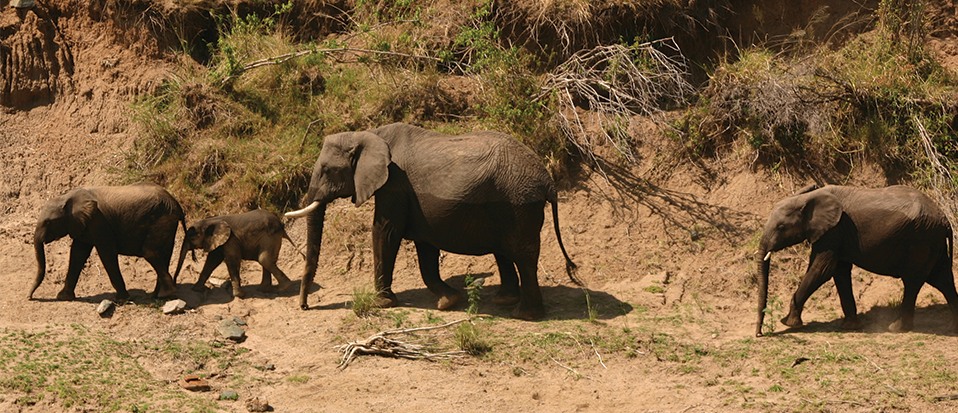 Welcome to the Racine Zoo | racinezoo.org