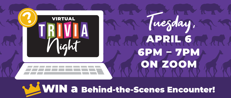 Welcome to the Racine Zoo | racinezoo.org