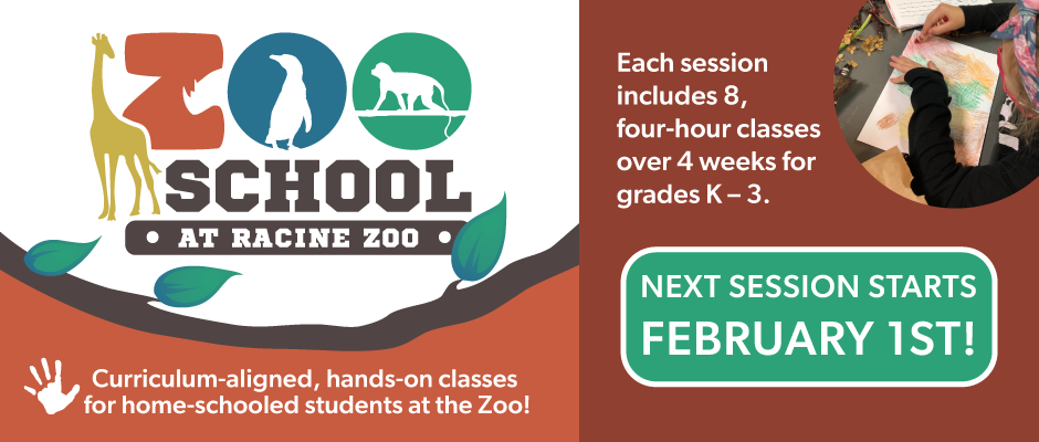 Welcome to the Racine Zoo | racinezoo.org
